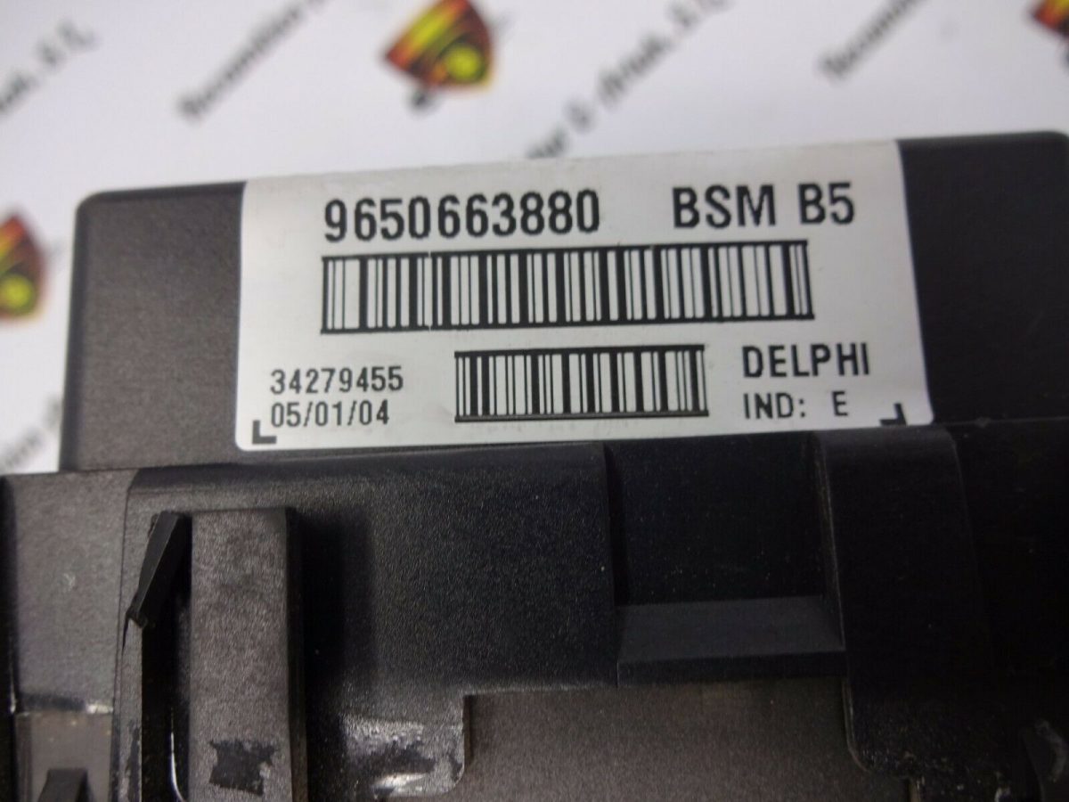 Caja de fusibles BSM B5 Peugeot Citroen 9650663880 DELPHI